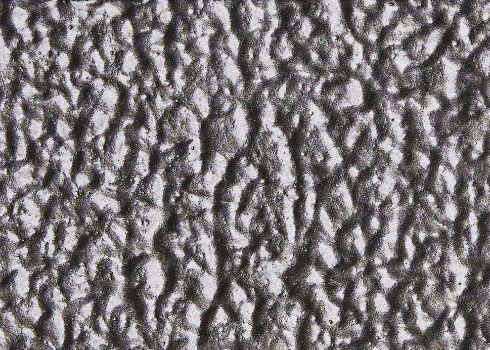 Roll Texture - Bojan